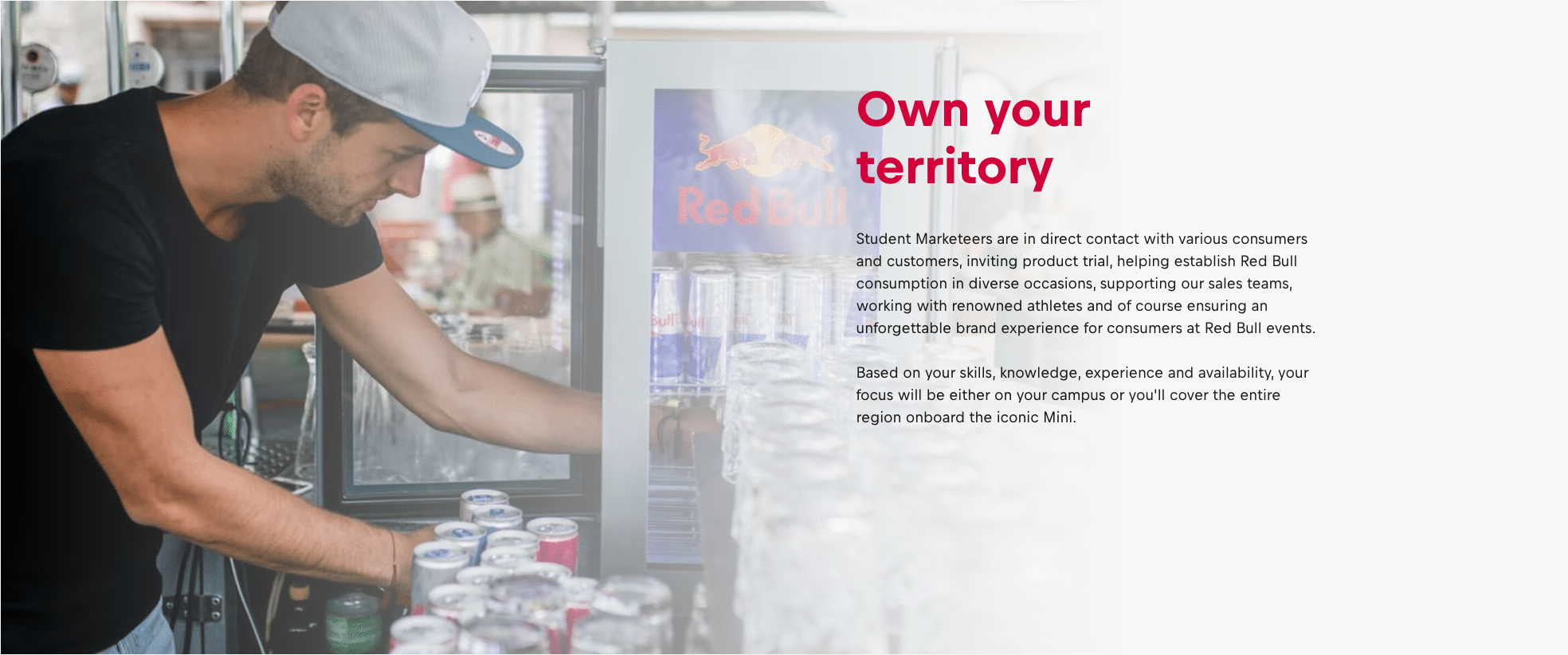 How a Brand Ambassador Program Drives Sales and Loyalty